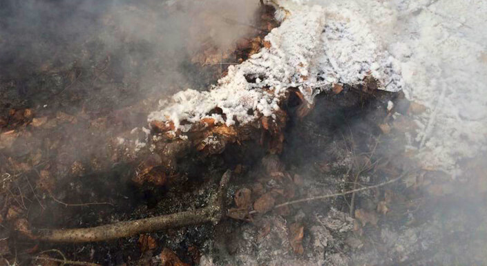 Home [farmfiresmart.ca]